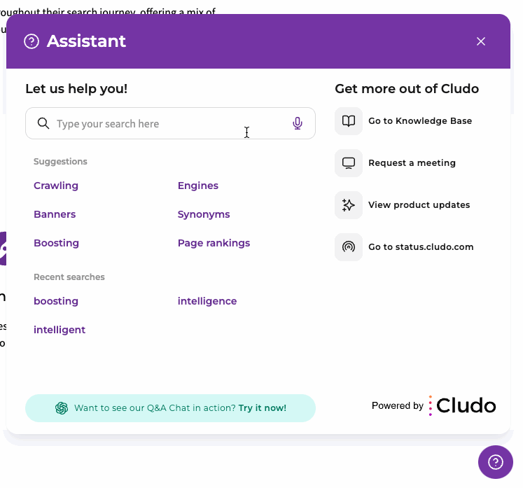 Interact Swiftly with Visitors Through the Cludo Assistant